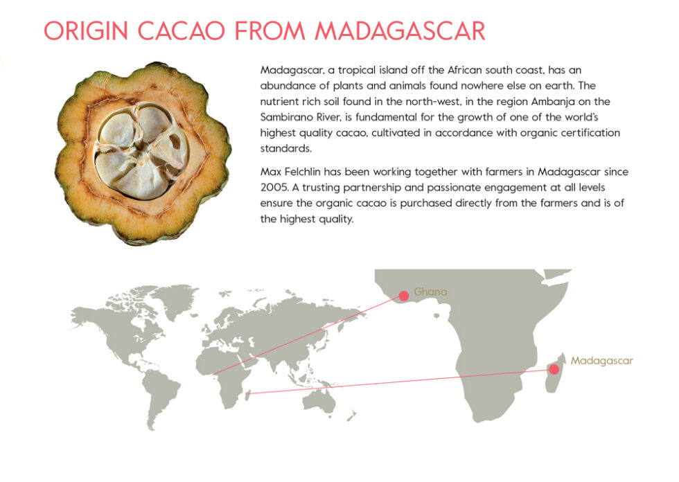 Sensory Experience | Elizabeth Moore Chocolates